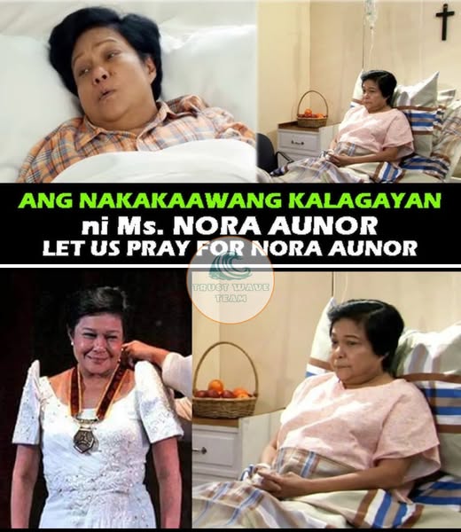 ANG NAKAKAAWANG KALAGAYAN NA NGAYON ni Ms Nora Aunor, inalalayan ng oxygen si Nora Aunor dahil ...