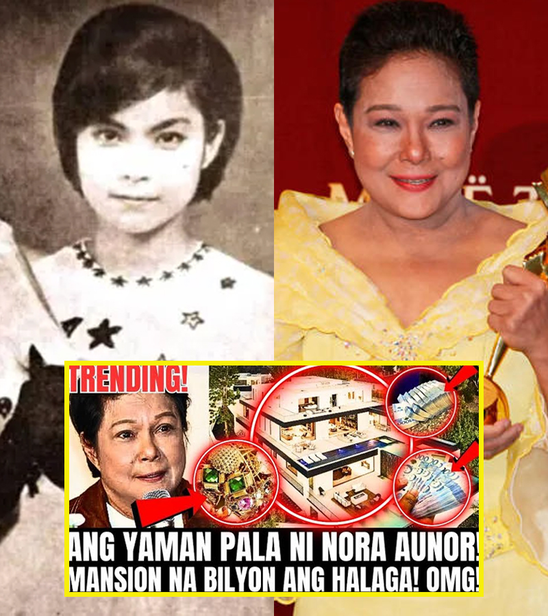 GRABE!! GANITO PALA KAYAMAN SI NORA AUNOR!! NETIZENS, NAMANGHA SA MANSION AT MGA ALAHAS! OMG! - News