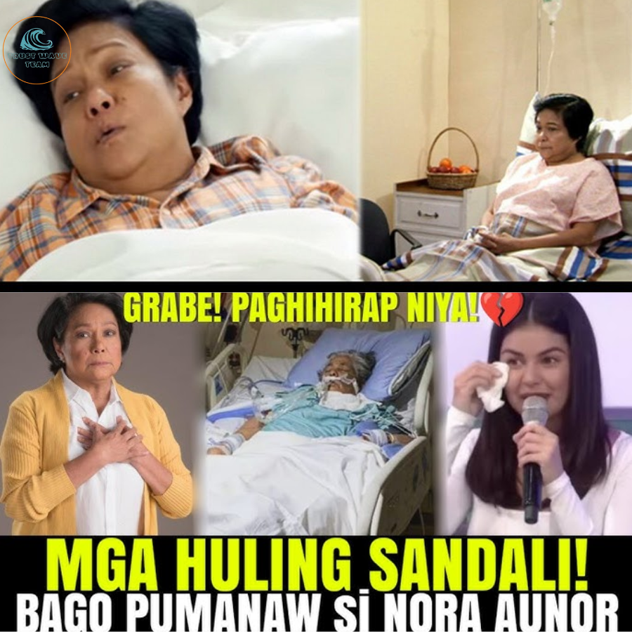 Nora Aunor PUMANAW NA! Mga HULING SANDALI Bago Siya Mamaalam — Grabe! Nahirapan Pa Siya! 💔🕯️ /đh ...