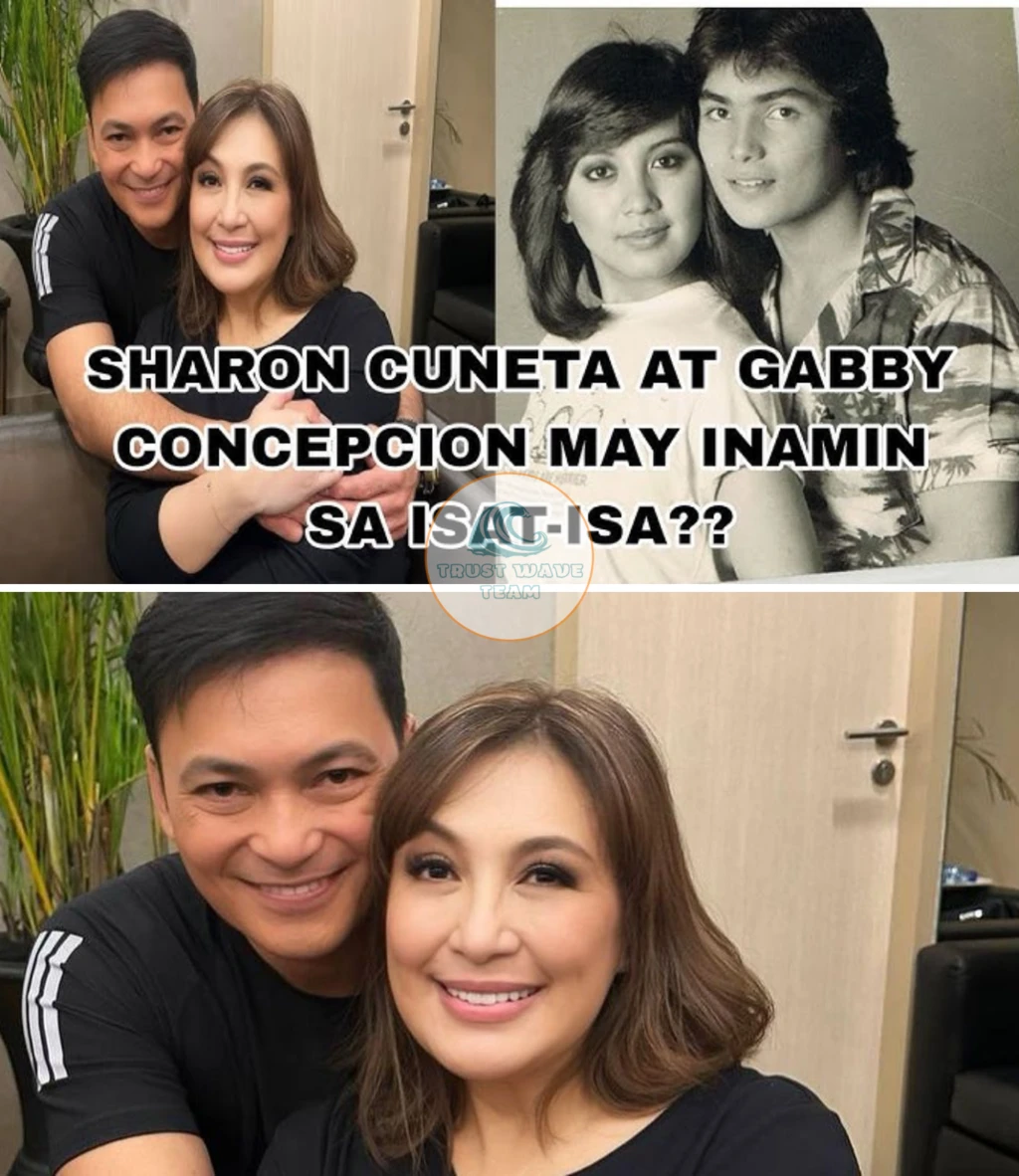 Sharon Cuneta reveals she was supposed to have another show with Gabby ...