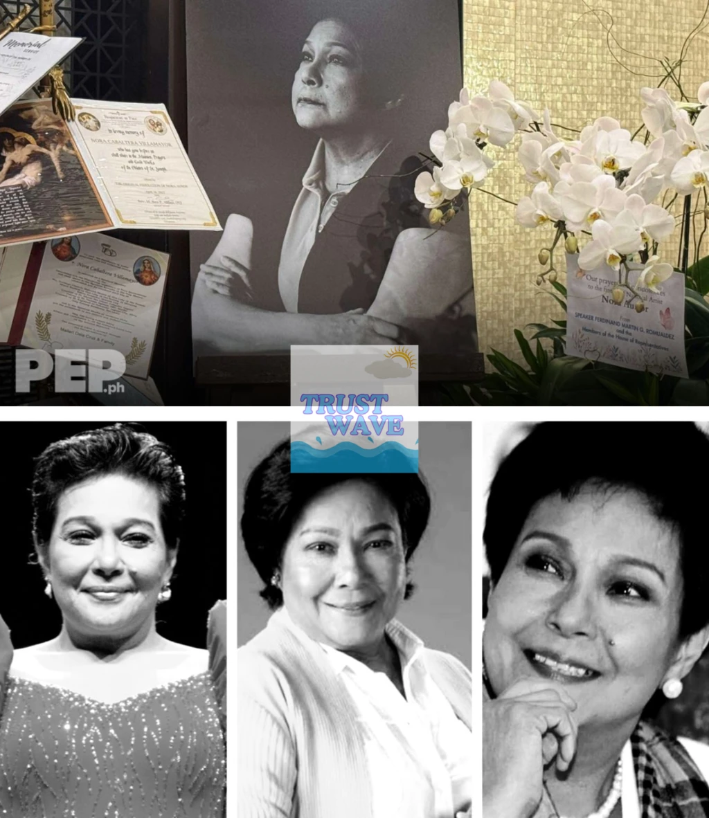 Nora Aunor Gagawaran Ng ‘State Necrological Services and Funeral ...