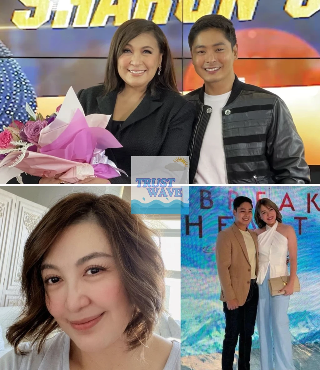 Sharon Cuneta on basher calling her "sipsip" to Coco Martin - News