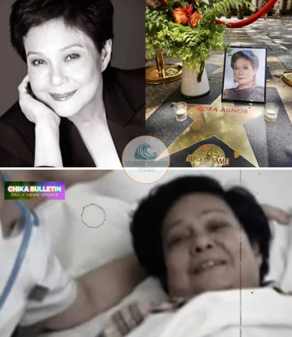 Eastwood City Nagbigay Ng Tribute Kay Nora Aunor, 'Walk of Fame' Pinalamutian - News