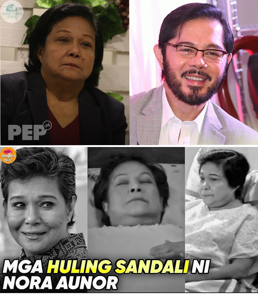 DI KO NAGAWA NOON…’ — CHRISTOPHER DE LEON, MAY SAKIT NA PAG-AMIN SA HULING SANDALI NI NORA (NG ...