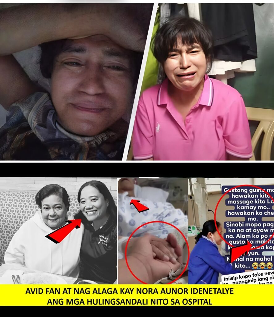 The Last Goodbye: Nora Aunor’s Final Moments Revealed by Her Most Loyal Fan (VIDEO) - News