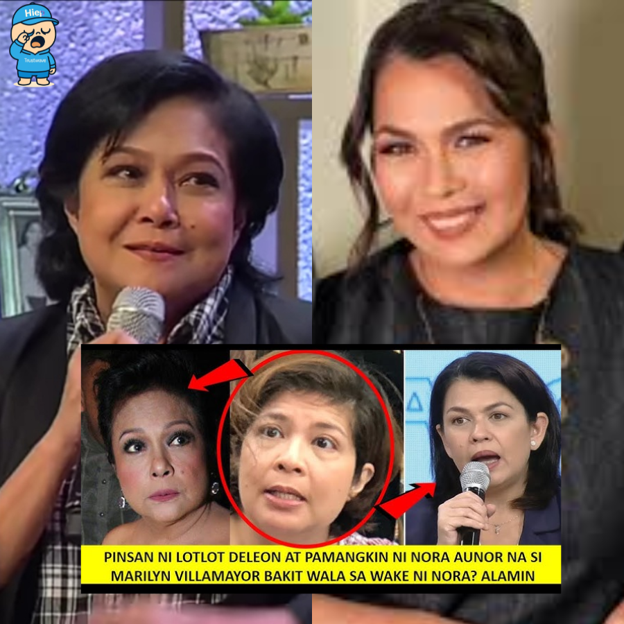 SHOCKING! Pinsan ni Lotlot De Leon at Pamangkin ni Nora Aunor na si Marilyn Villamayor, Bakit ...