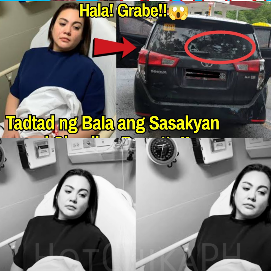 Claudine Barretto's Car Shot at in Shocking Attack: Is She Safe? - News