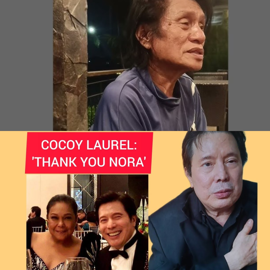 Nora Aunor’s Superfan Spills Secrets: What Willie Chu Revealed About ...
