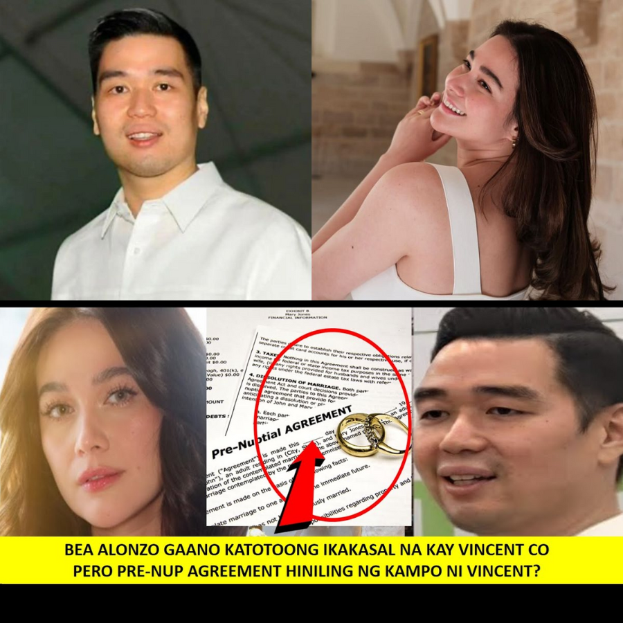 Bea Alonzo Ikinagulat ang Kondisyon ng Pamilya ni Vincent Co Bago ang Kasal — May Itinatagong ...