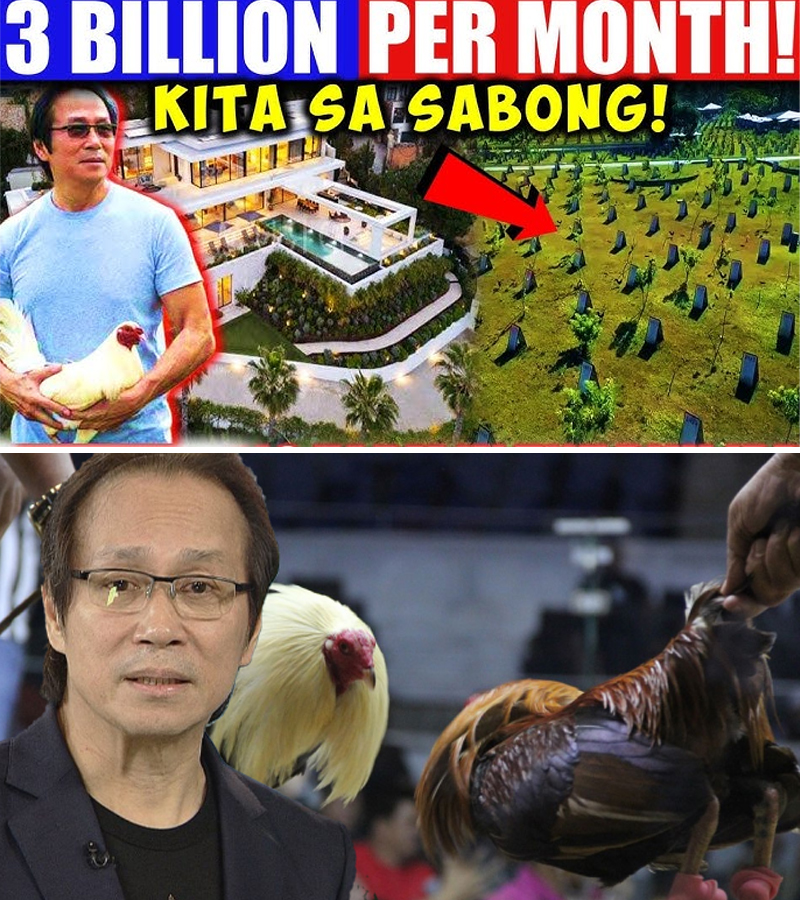 How Rich Is Atong Ang and How Did the 'Sabong King' Start? (an) - News