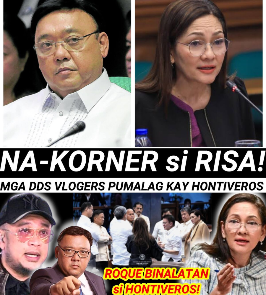 Risa Hontiveros, tumugon sa Duterte vloggers; nag-init ang social media, kumalat ang tensyon at ...